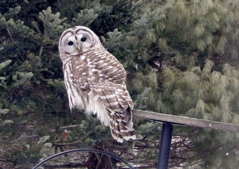 Work by Photographer Tina Grant at Gifford Gallery