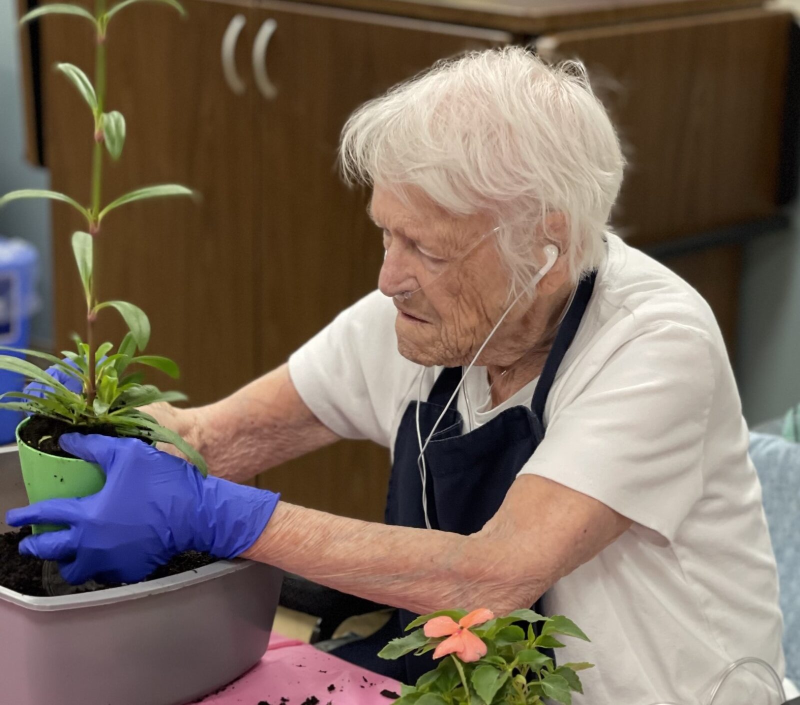 State Survey: Menig Nursing Home Deficiency-Free